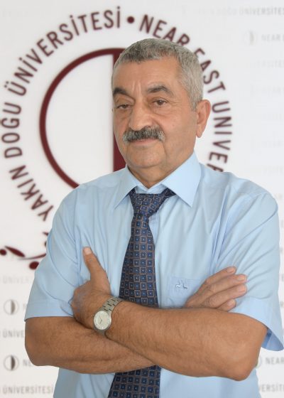 Lecturer Ali Malek – NEU, Faculty of Economics and Administrative Sciences